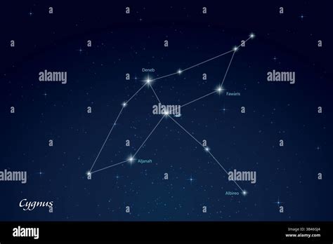 Cygnus Constellation Featuring Labeled Stars In A Glowing Star Filled