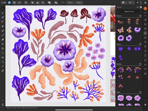 Creating Hand Drawn Vector Assets In Affinity Designer — Weronika Salach Illustration Design