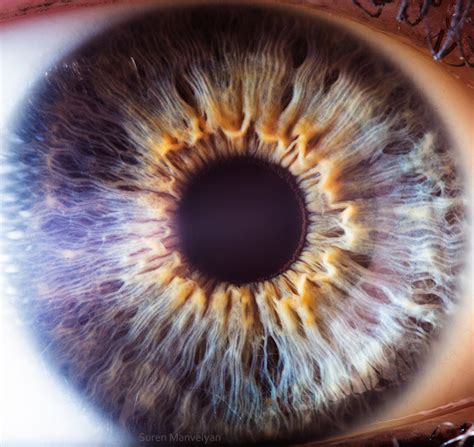 Your Beautiful Eyes Amazing Close Up Photos Of Human Eyes By Suren