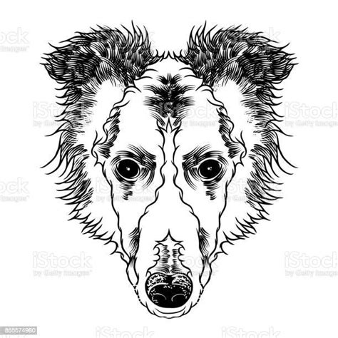 콜 리 강아지의 초상화입니다 손으로 그린 개 그림입니다 검정 흰색에서 T셔츠 및 문신 컨셉 디자인 벡터입니다 가축에 대한 스톡 벡터 아트 및 기타 이미지 Istock