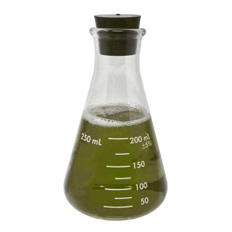 Titration Conical Flask China Titration Conical Flask Manufacturers Suppliers Factory
