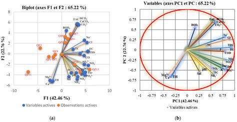 assessment of surface water quality using the water quality index iwq