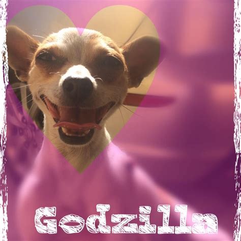 Goddzilla