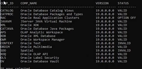 Error During Patching Mdadminsdowfscssql Oracle 19c Invalid Component Smarttechways