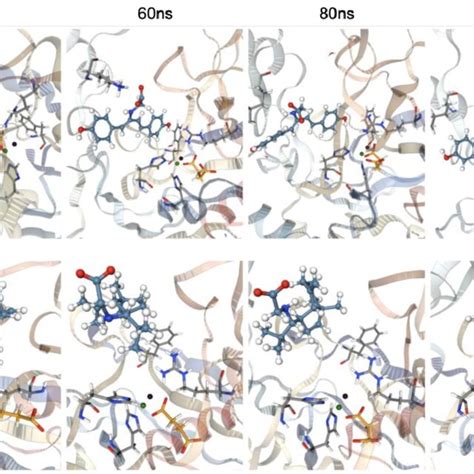 Fig S2 Binding Poses Of The Substrate In The Substrate Binding Pocket Download Scientific
