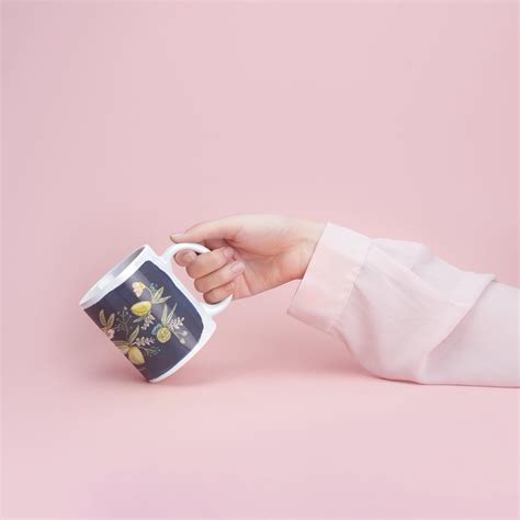 Feline Objects Feline Objects Updated Their Cover Photo