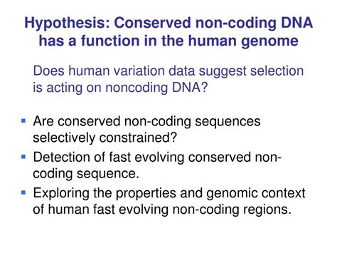 ppt exploring the role of non coding dna in the function of the human
