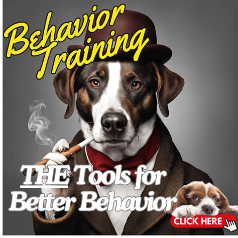 Beta Dog Behavior - Dog Training Geek
