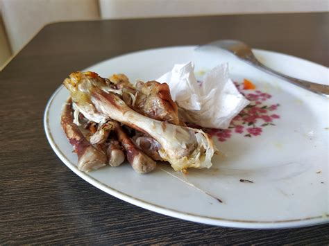 Composting Chicken Bones Methods Benefits Disadvantages