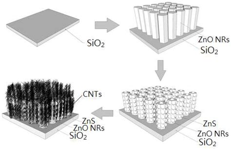 Schematic Diagram Of Fabrication Processes Of Znozns Coreshell
