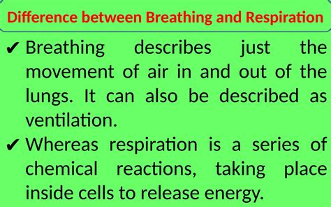 Difference Between Breathing And Respiration PPTX