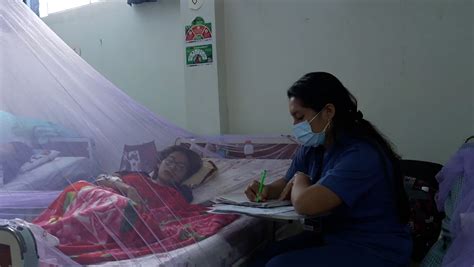 Peru Struggles Against Worsening Dengue Outbreak Cgtn America