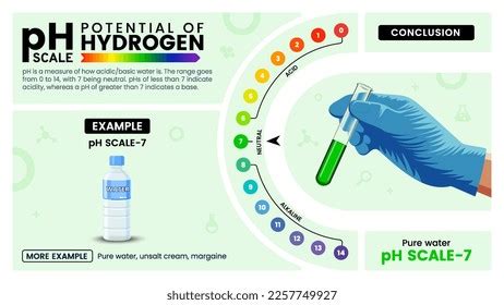 Ph Scale Fourteen Properties Calculation Examples Stock Vector Royalty Free 2257749917