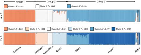 Genetic Structure Detected By Structure F Values Of Each Cluster