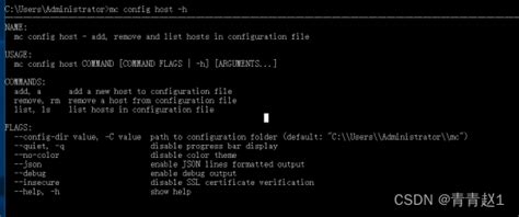 分布式文件存储系统minio csdn博客
