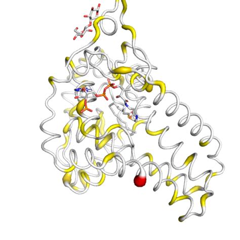Scd Gene Somatic Mutations In Cancer