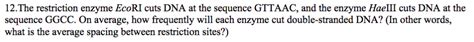 Solved 12 The Restriction Enzyme Ecori Cuts Dna At The