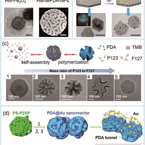 different synthetic routes of pda based nanoreactors a one step