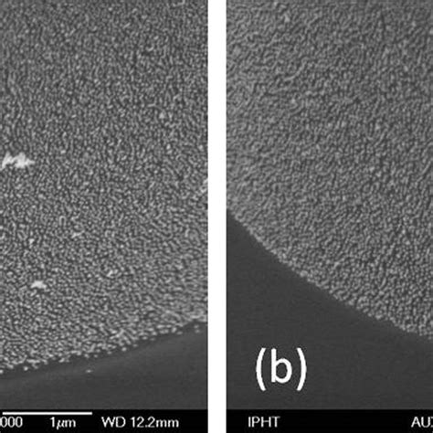 Pdf Functionalization Of Microstructured Optical Fibers By Internal Nanoparticle Mono Layers