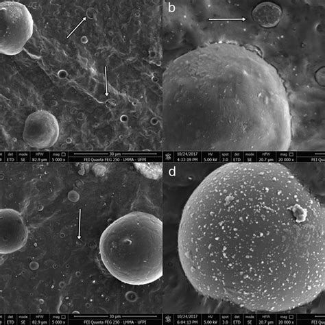Sem Micrographs Of The Fracture Surface Of The Composites With The