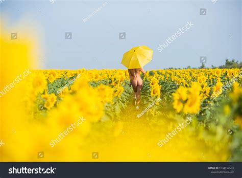 Beautiful Naked Woman Hiding Behind Yellow Stock Photo Shutterstock