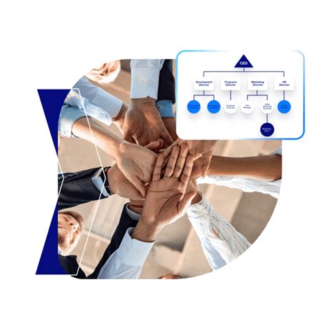 Reporting And Dashboards Pisano