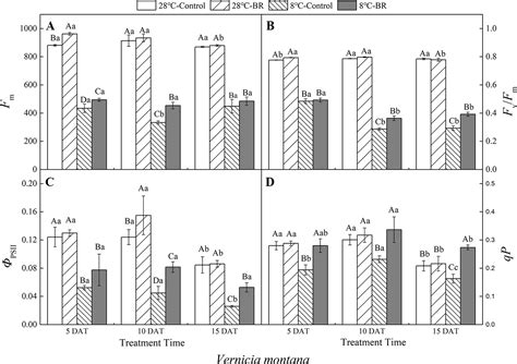 Frontiers Effects Of Low Temperature Stress And Brassinolide