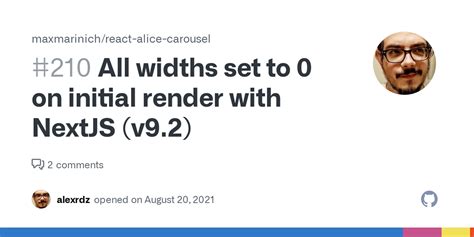 all widths set to 0 on initial render with nextjs v9 2 · issue 210