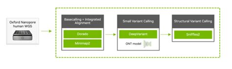 Accelerate Genomic Analysis For Any Sequencer With Nvidia Parabricks V4