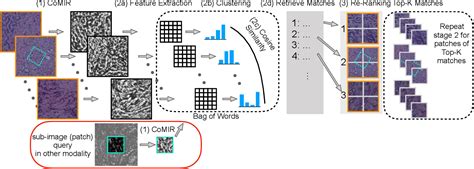 figure 1 from cross modality sub image retrieval using contrastive