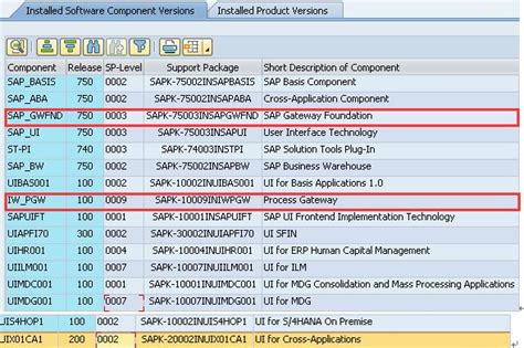 solved no service found for namespace iwpgw name taskp sap