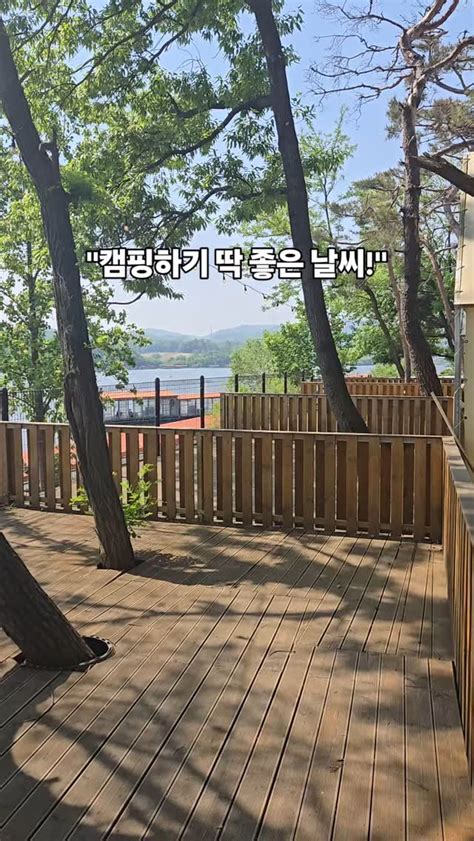 재리캠핑 재리캠핑 타프캠핑 냉난방기설치완료 뷰맛집 소나무데크 갬성캠핑 아산가볼만한곳 서울근교캠핑장 캠핑 애견동반캠핑장 영상촬영시각 낮 12시45분
