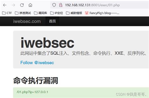 iwebsec靶场 命令执行漏洞 csdn博客