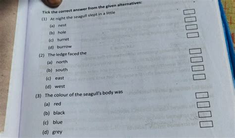 Tick the correct answer from the given alternatives:(1) At night the sea..