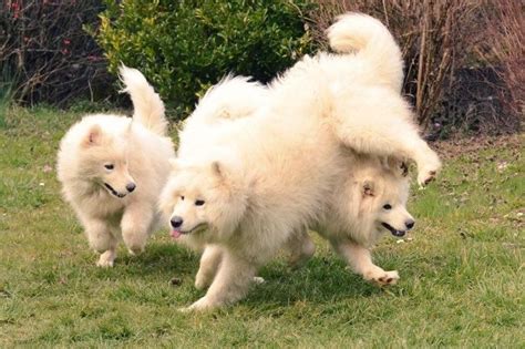 Best Science Experiment Images On Pholder People Fucking Dying Interestingasfuck And We