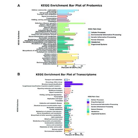 Pathway Enriched In Both The Proteome And Transcriptome The Red Boxes
