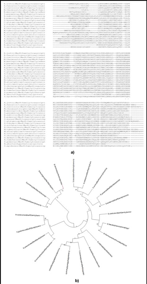 Sequence Alignment And Phylogenetic Analysis A The Sequence Download Scientific Diagram