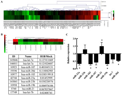 Ho 1 Modulates Mirnas Expression In Ho 1 Overexpression Hepg2 Cells