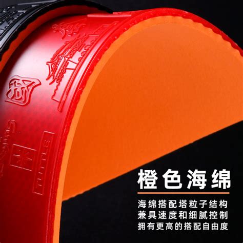 Tuttle National Set V Orange Sex Pants Table Tennis Ittf Certification