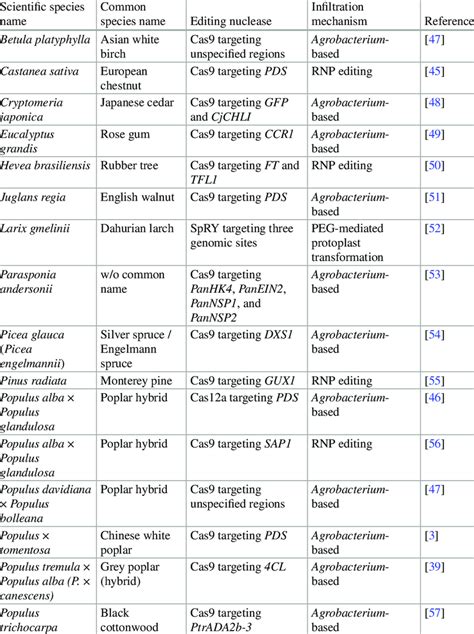 Crisprcas Edited Forest Tree Species For Poplar Trees Only