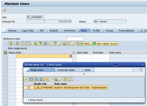 Assign Authorization Role To The Sap® User