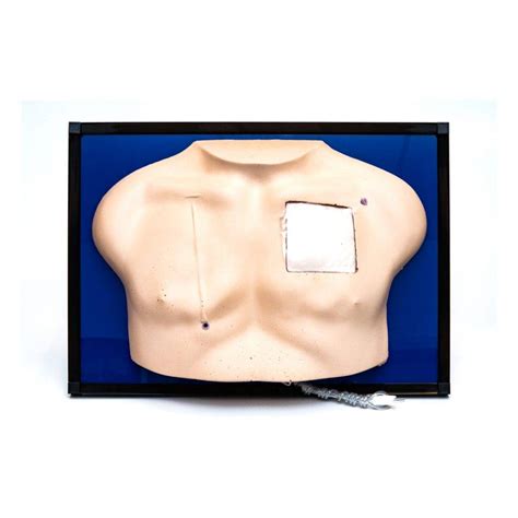 Deluxe Venous Access Device Model Sem Trainers