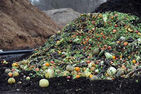 Современные методы и технологии компостирования отходов