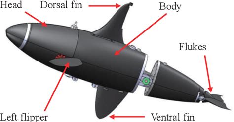 Figure 2 From Underwater Slam Implementation For A Bionic Robotic Dolphin Semantic Scholar