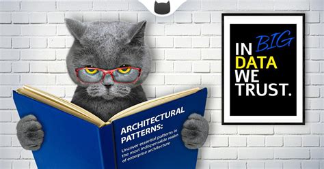 Murka On Linkedin Bigdata Dataarchitect Bisystem Murkajob Itcareer