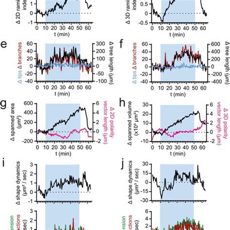 Analysis Of Ex Vivo Two Photon Microscopy Data 2d And 3d Analysis Of Download Scientific