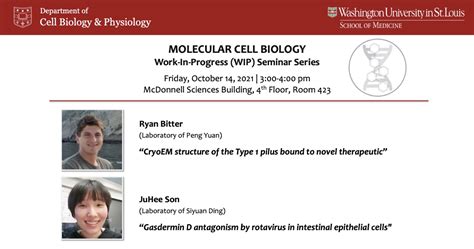 Work In Progress Wip Series Ryan Bitter And Juhee Son Cell Biology And Physiology