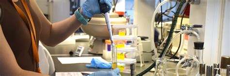 Biotechnology And Biomedical Science Ms Umass Boston