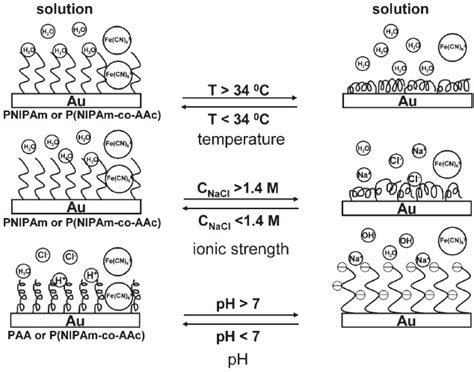 schematic illustration of temperature ionic strength and ph induced