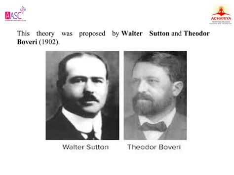 Chromosomal Theory Of Inheritance Ppt Genetics Science